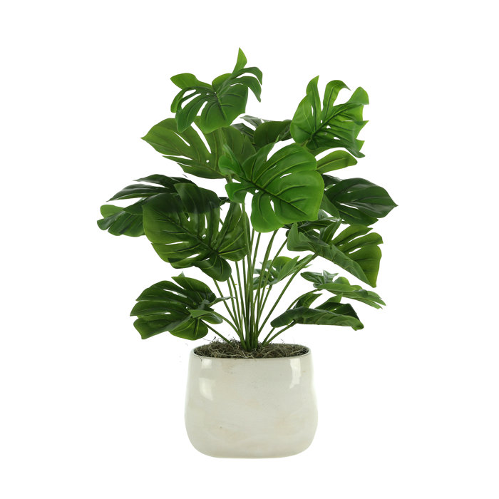 Creative Displays, Inc. Nature's Elegance Faux Philodendron Plant in ...