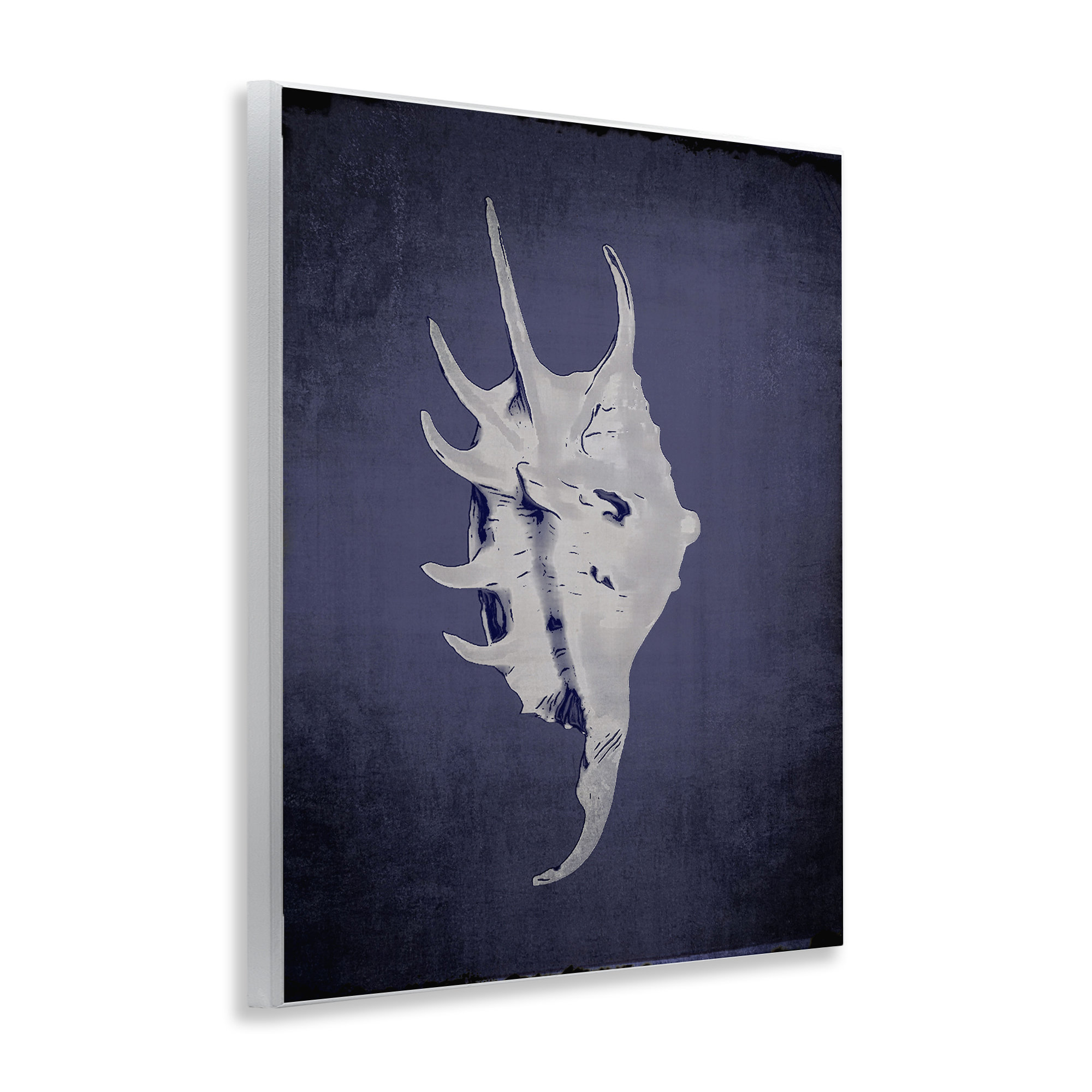 Ebern Designs Spider Conch on Indigo Wall Plaque Art by Graffi*tee ...