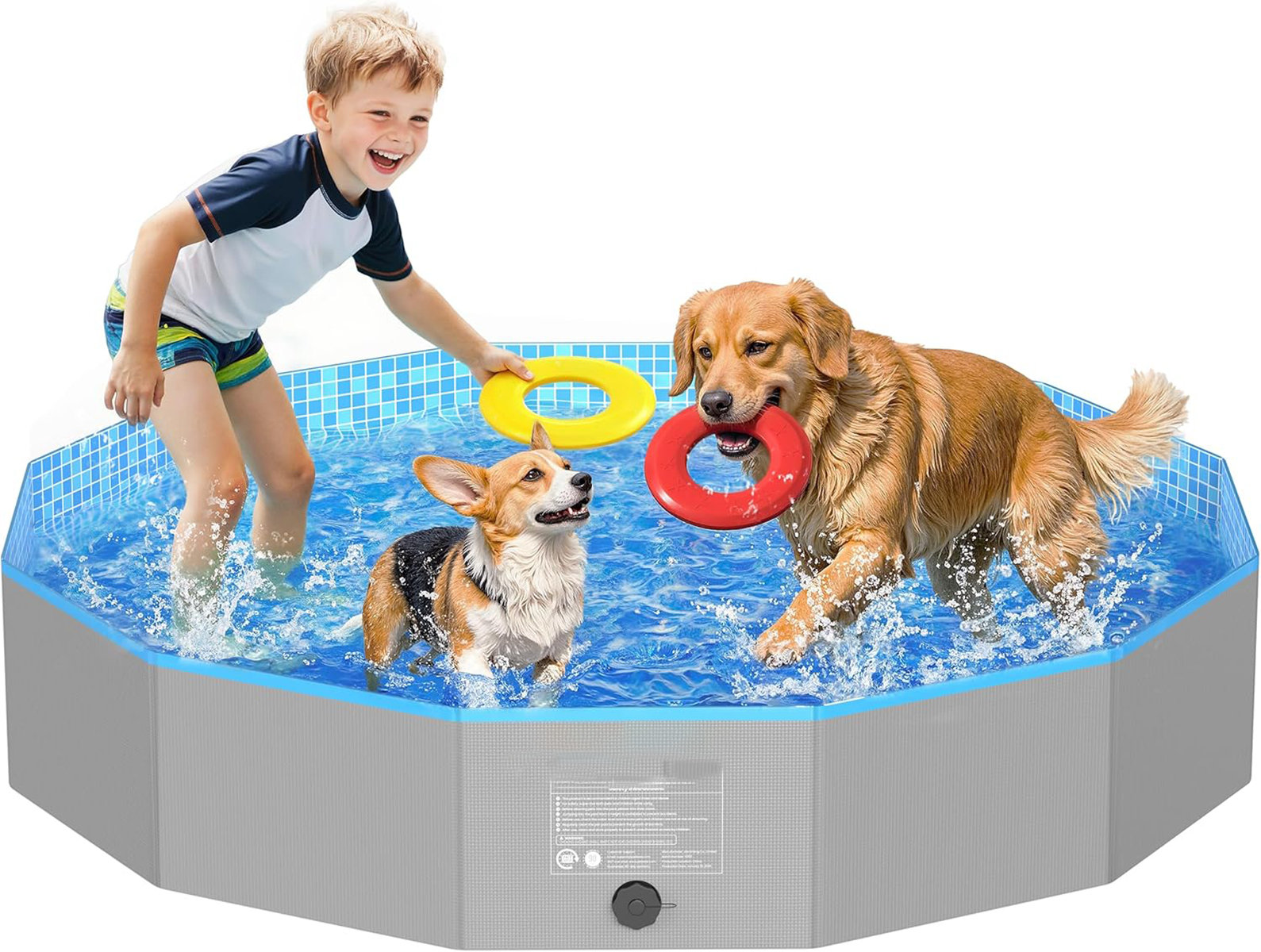 EFIVEX 81 Inch Foldable Hard Plastic Dog Pool with 2 Frisbees, Ideal ...