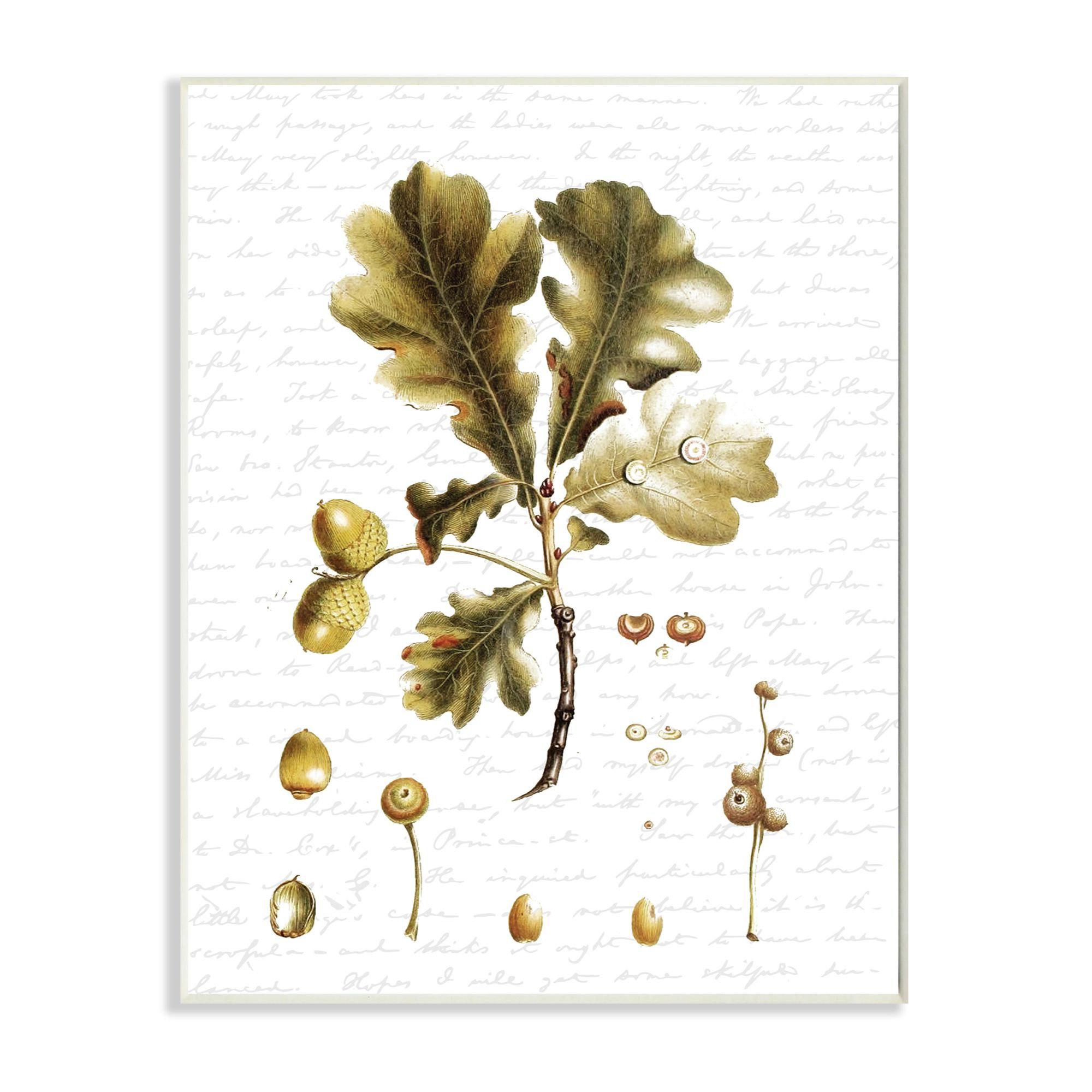 Stupell Industries 'Tree Leaves Seeds Fall Autumn Seasonal Design ...
