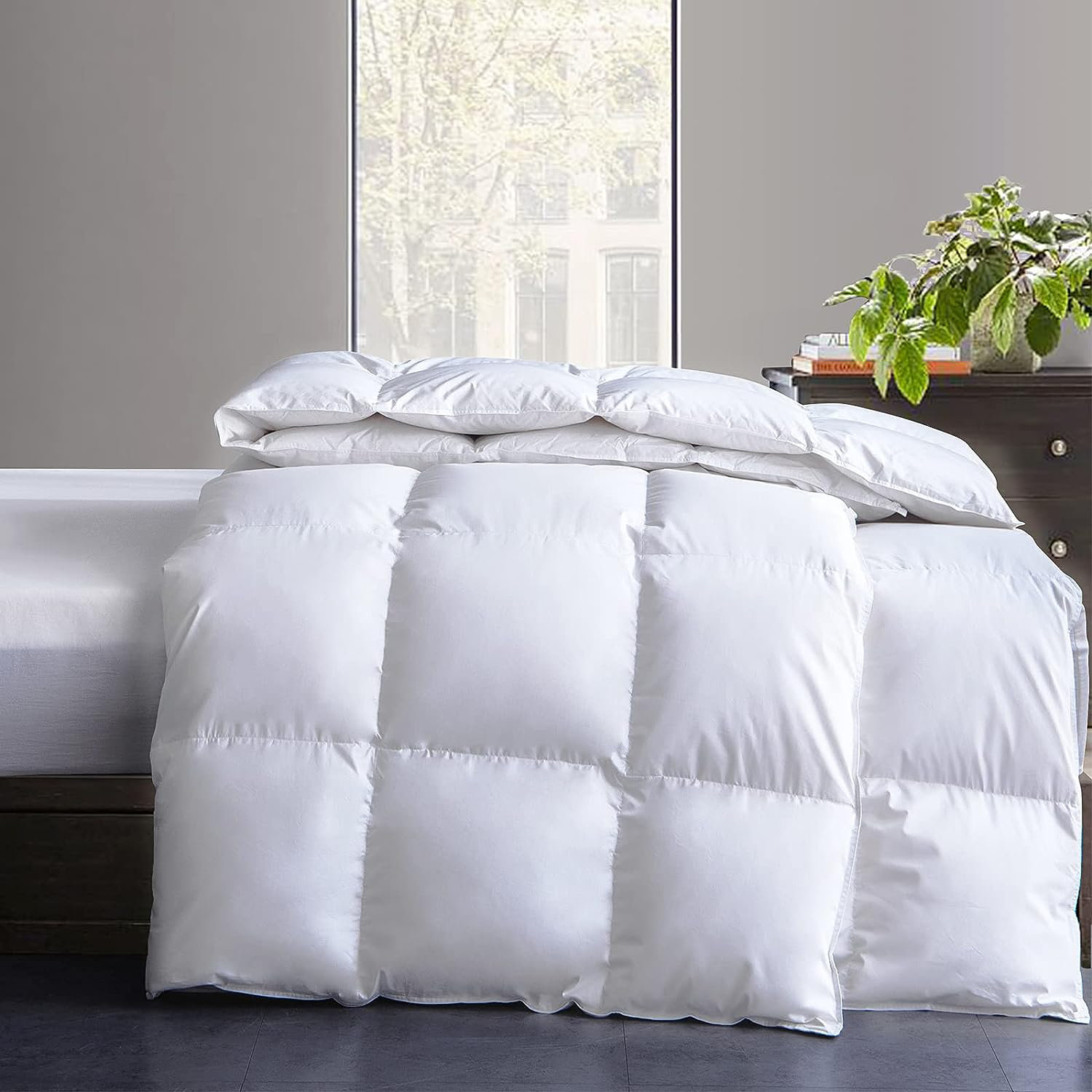 c&g home 100% Cotton Duvet Cover & Insert | Wayfair