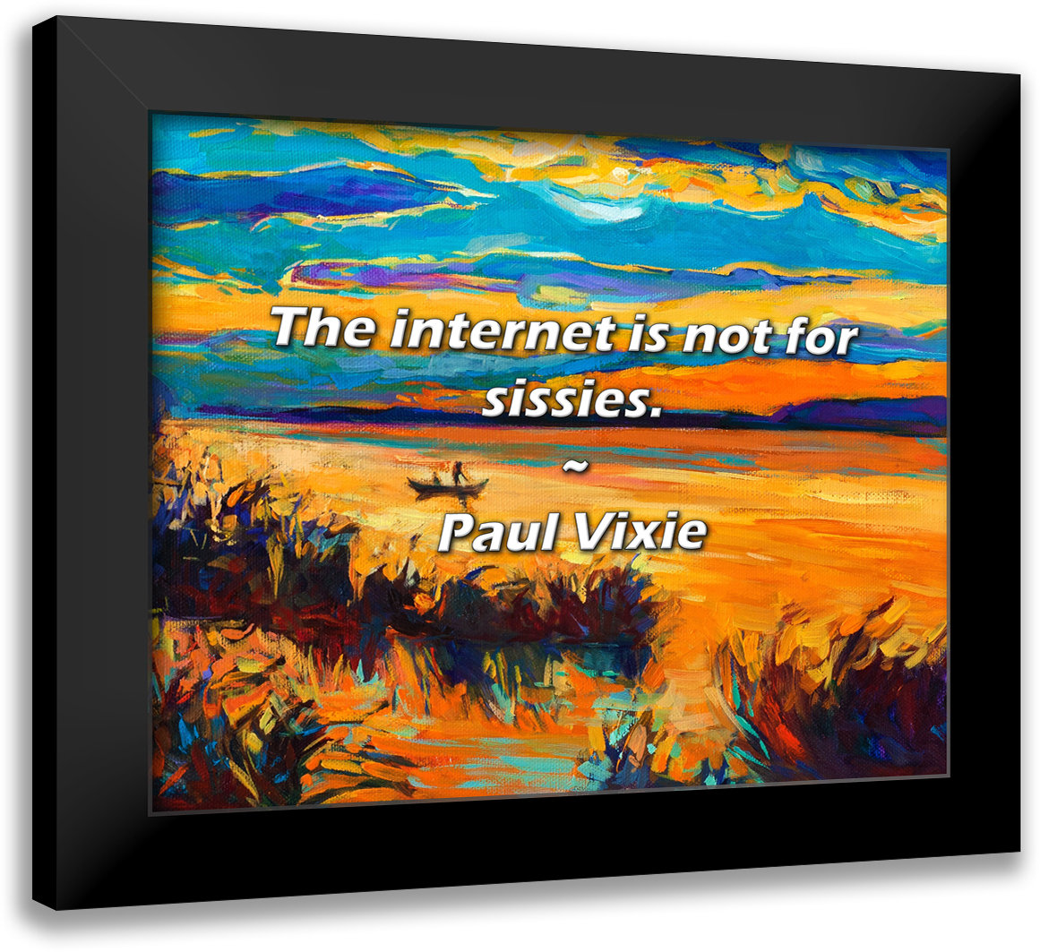 Trinx Paul Vixie Quote: The internet is not for sissies. | Wayfair