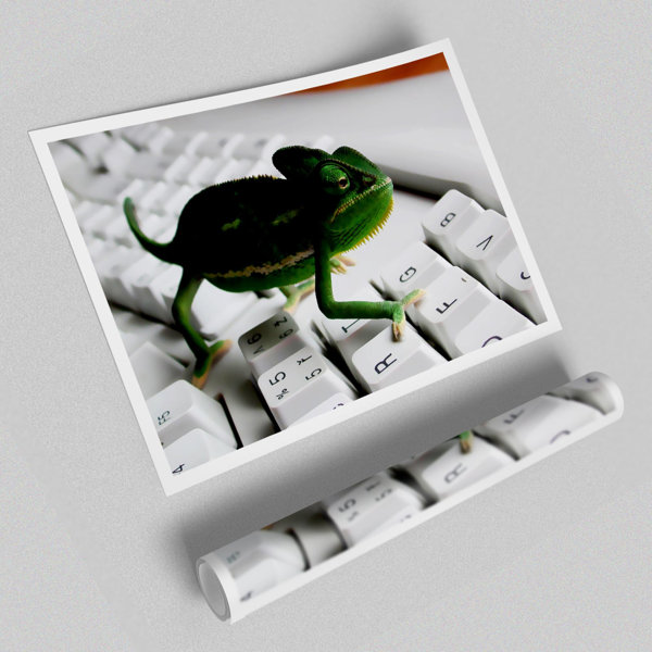 East Urban Home Lizard Keyboard - No Frame Print | Wayfair.co.uk