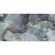 Apollo Tile Splendor 24'' W x 48'' L Porcelain Singular Tile & Reviews ...