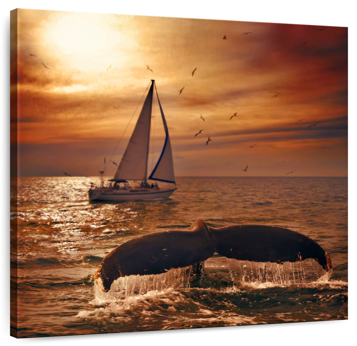 Ebern Designs Crowle Sunset Whale Watching | Wayfair