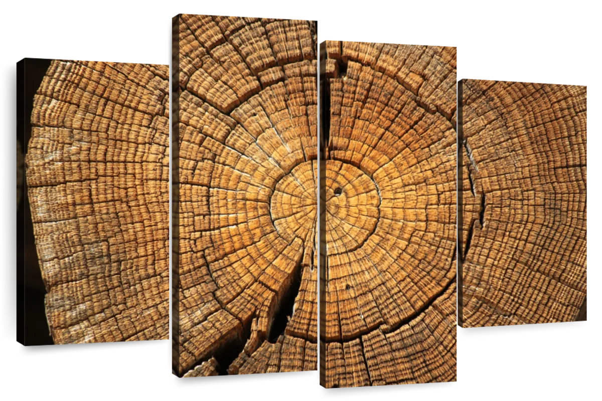 Lark Manor Harnek Tree Stump Rings - Wayfair Canada