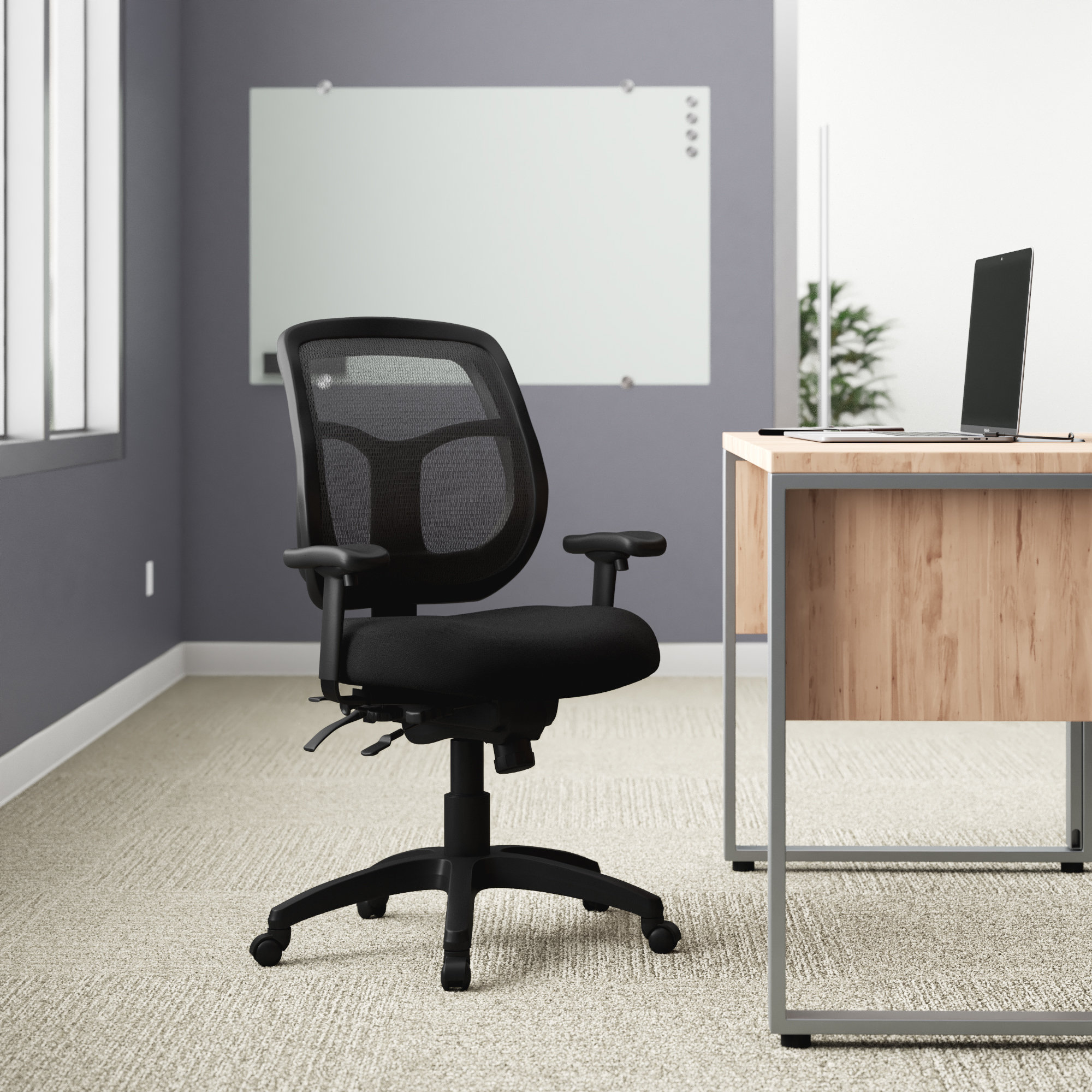 Eurotech Seating Apollo Ergonomic Mesh Task Chair & Reviews - Wayfair ...
