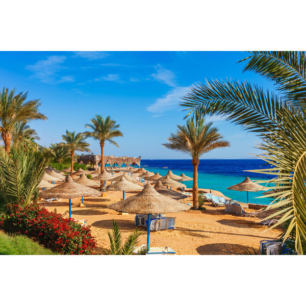 Bay Isle Home Bakirkoy Sunny Resort Beach With Palm Tree On Canvas by ...
