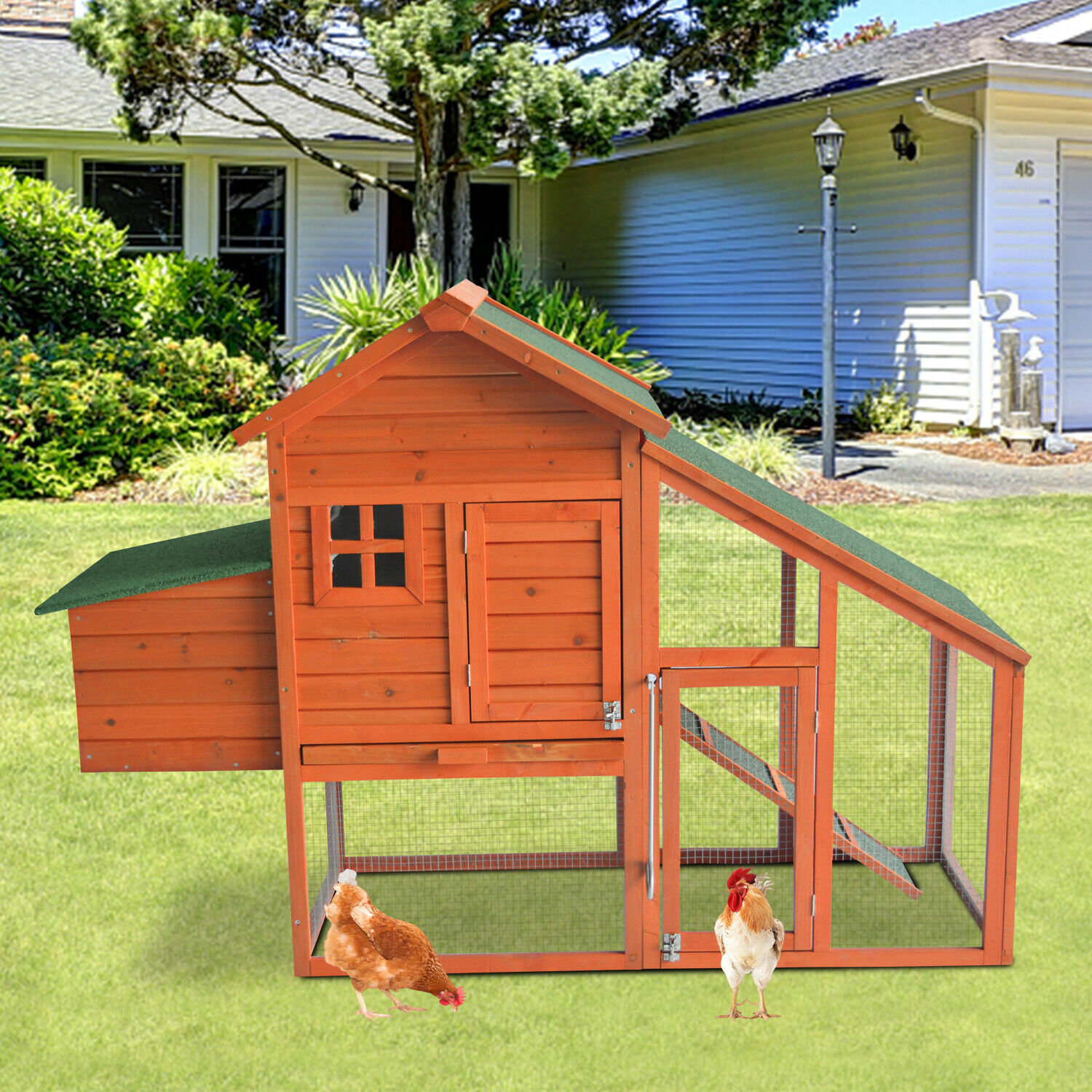 Tucker Murphy Pet™ Poulailler avec poulailler pouvant accueillir jusqu ...
