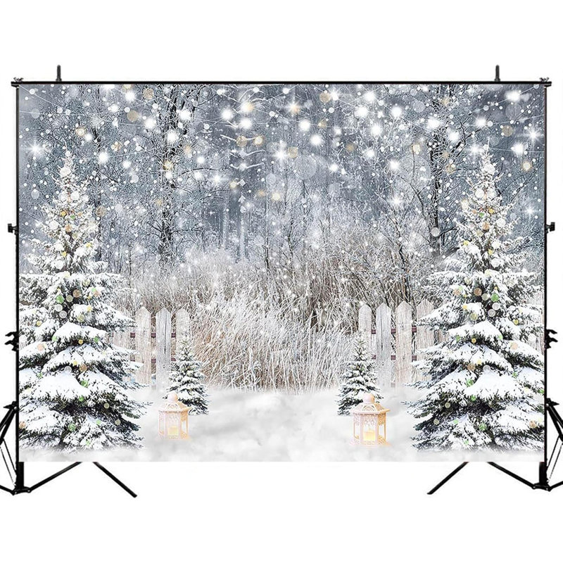 winter photography backdrop