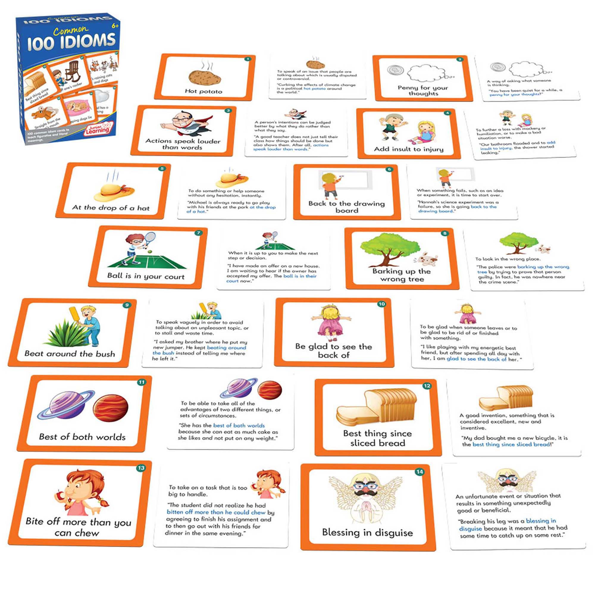 Junior Learning 100 Common Idioms Educational Activity Cards | Wayfair