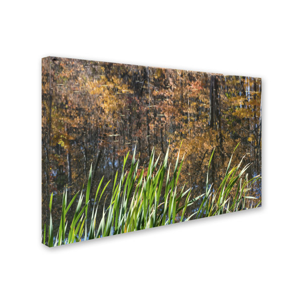 Trademark Art Kurt Shaffer " November " by Kurt Shaffer on Canvas ...