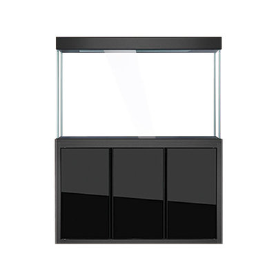 AQUA DREAM Rectangle Aquarium Tank | Wayfair