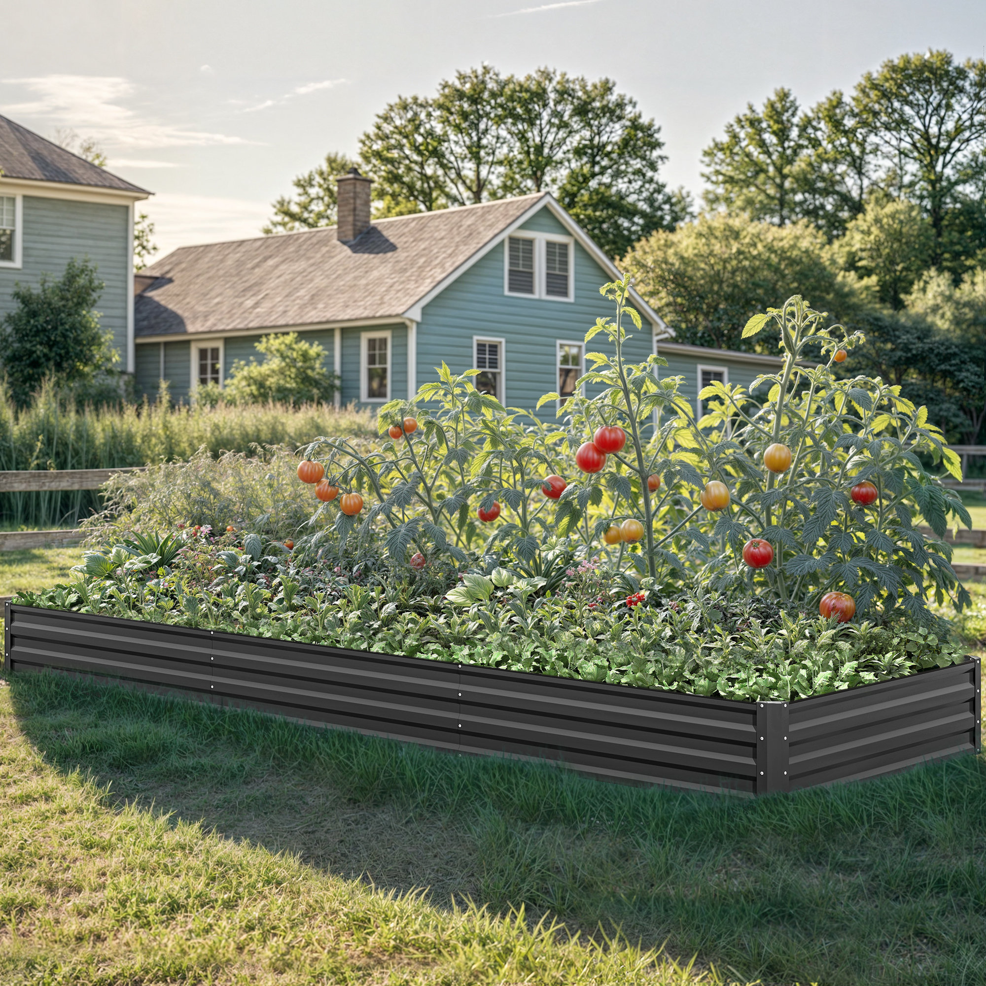Arlmont & Co. 12 ft W x 4 ft D Large Galvanized Raised Garden Bed | Wayfair