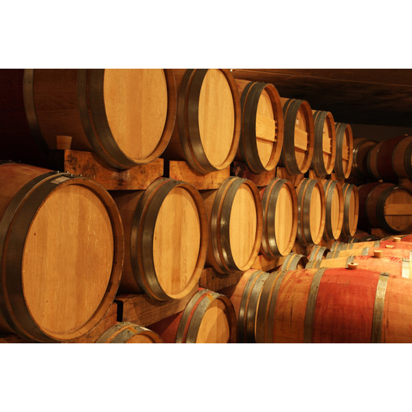 Union Rustic Wine Barrels On Canvas by Squareplum Print | Wayfair
