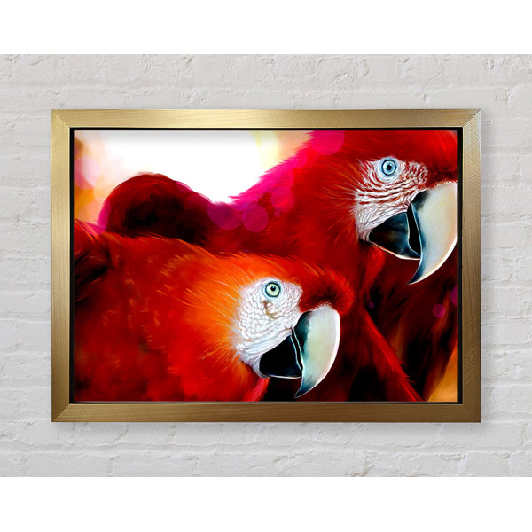 Bay Isle Home Parrots - Single Picture Frame Print | Wayfair.co.uk