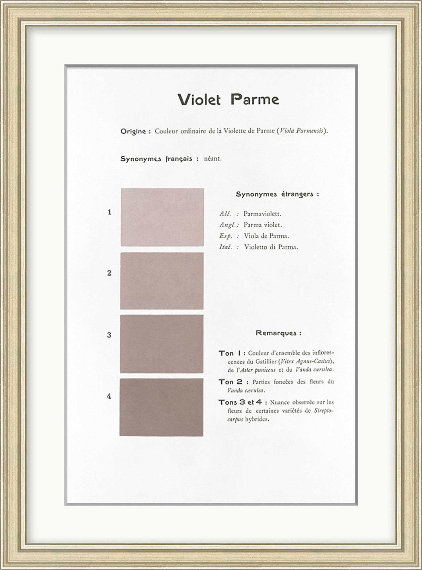 Wendover Art Group Violet 2 | Wayfair