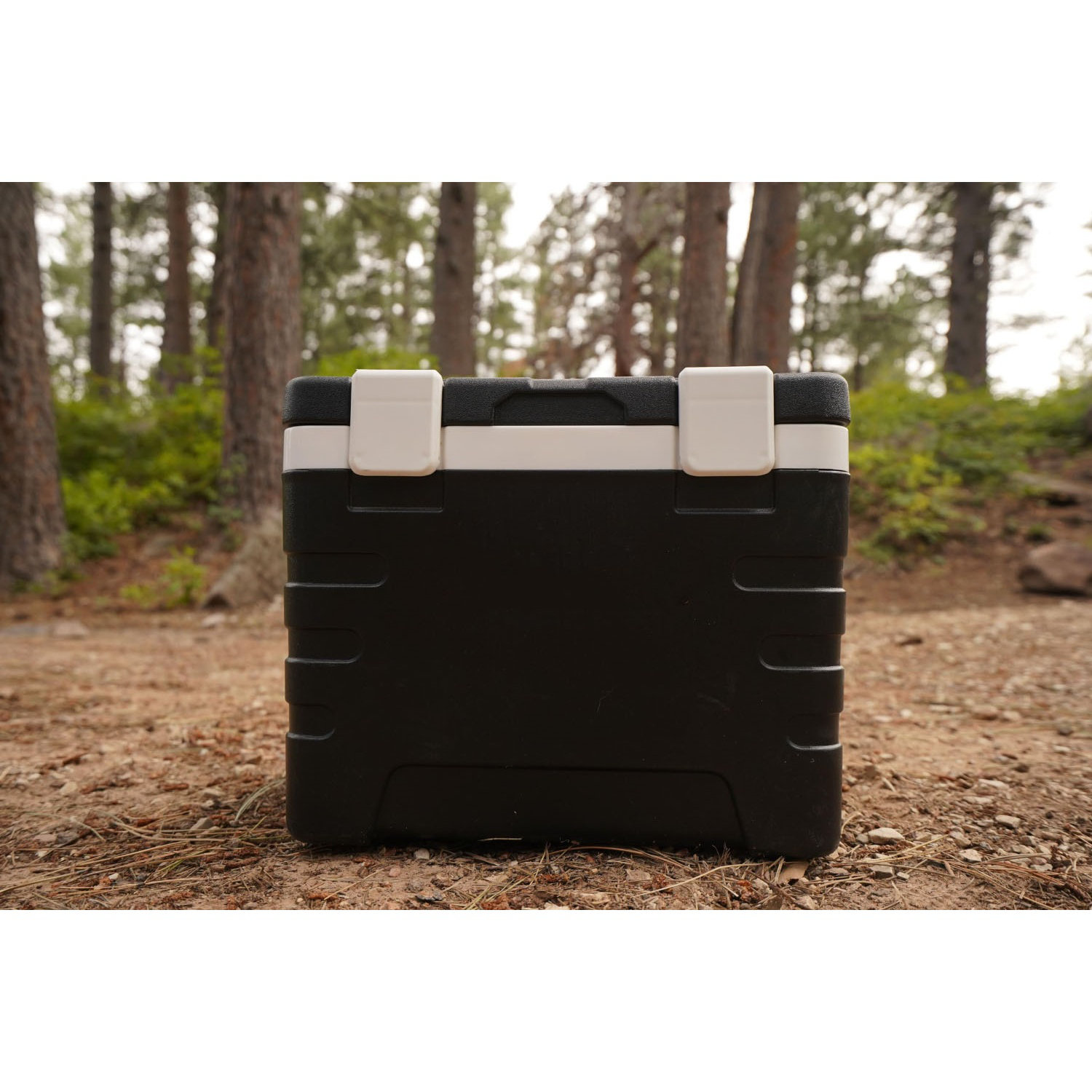 Rebrilliant 37 Quart Weekender Cooler - Ice Chest For Camping, Sports ...