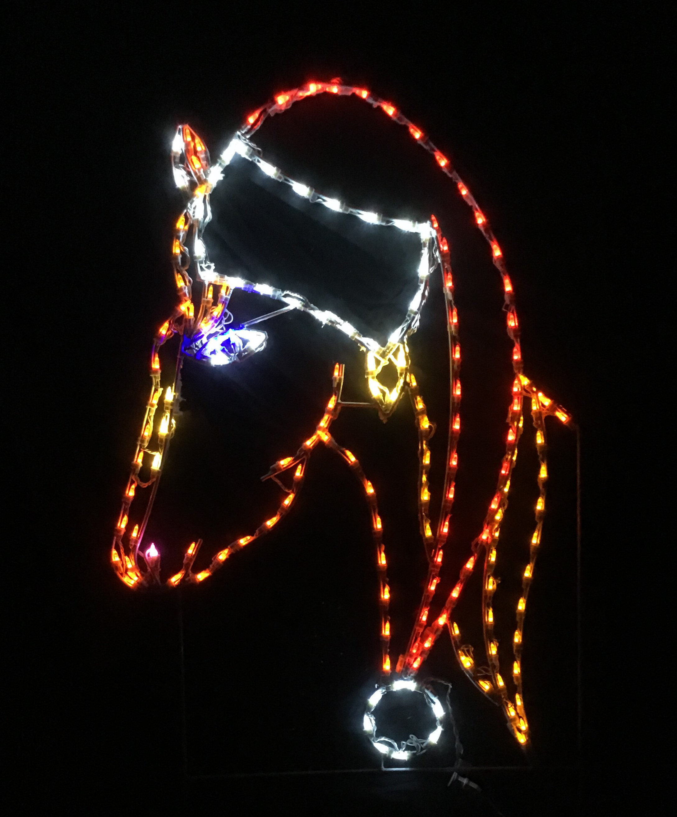 Lori's Lighted D'Lites Horse Wearing Santa Hat Lighted Display ...