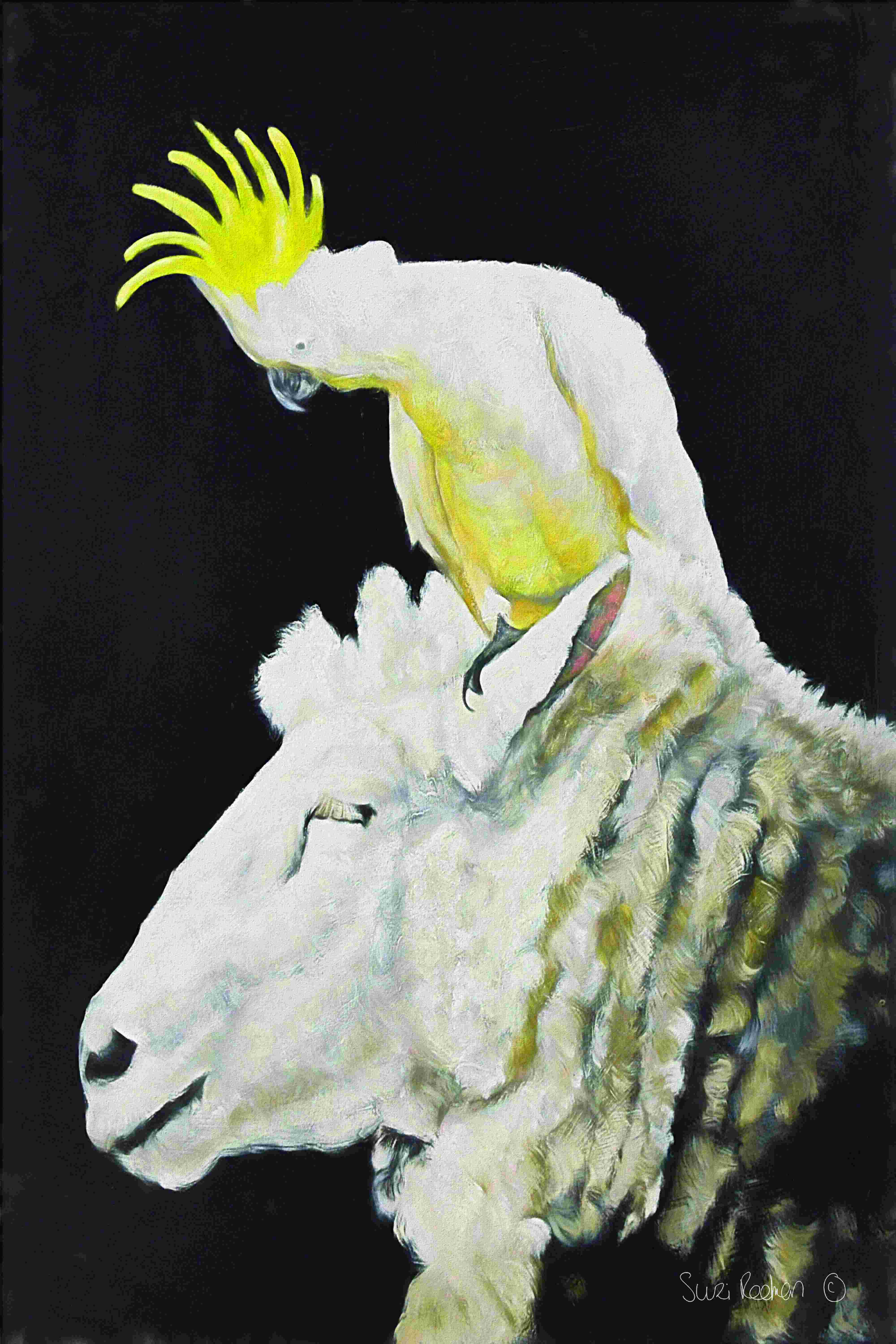 Bay Isle Home™ Ewe with a Cockatoo by Suzi Redman - Wrapped Canvas ...