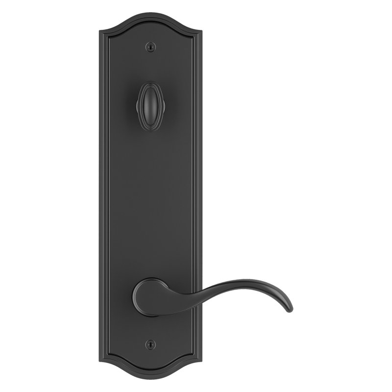 Baldwin Hampshire Handleset with Deadbolt and Door | Wayfair