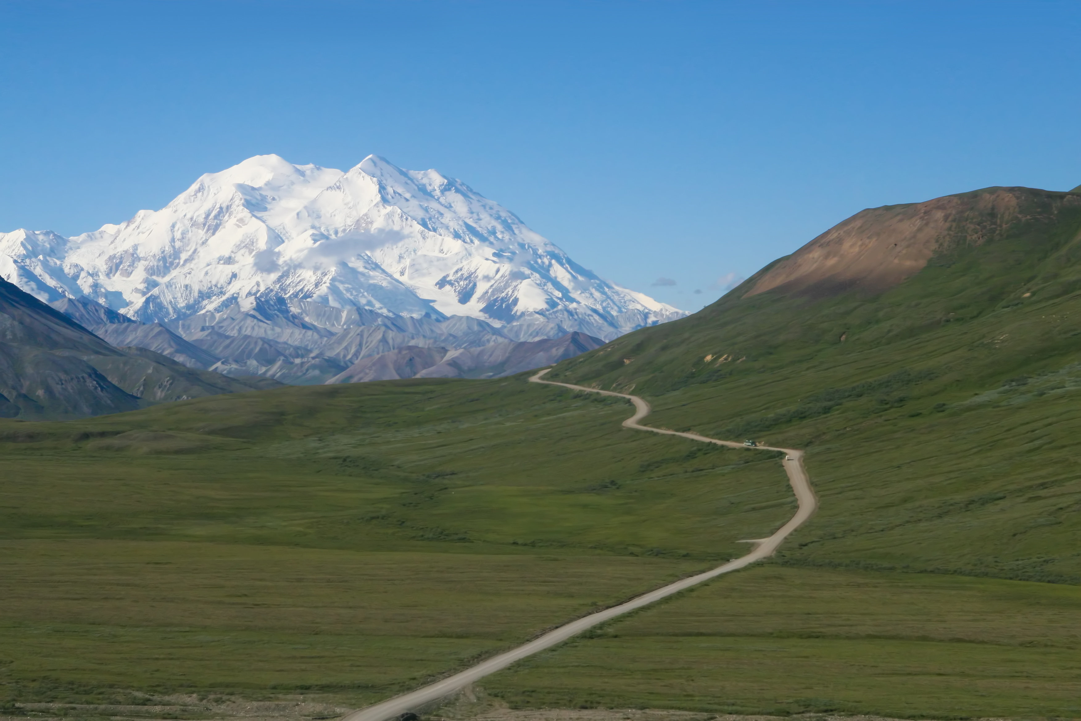 Millwood Pines Mt. Mckinley by Lowthian - Wrapped Canvas Photograph ...