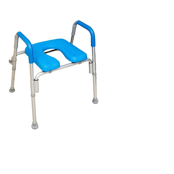 Platinum Health Commode - Wayfair Canada