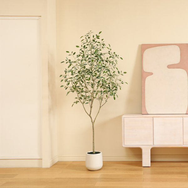 Primrue Adcock Faux Ficus Tree with Oval White Planter, Pre Potted Faux ...