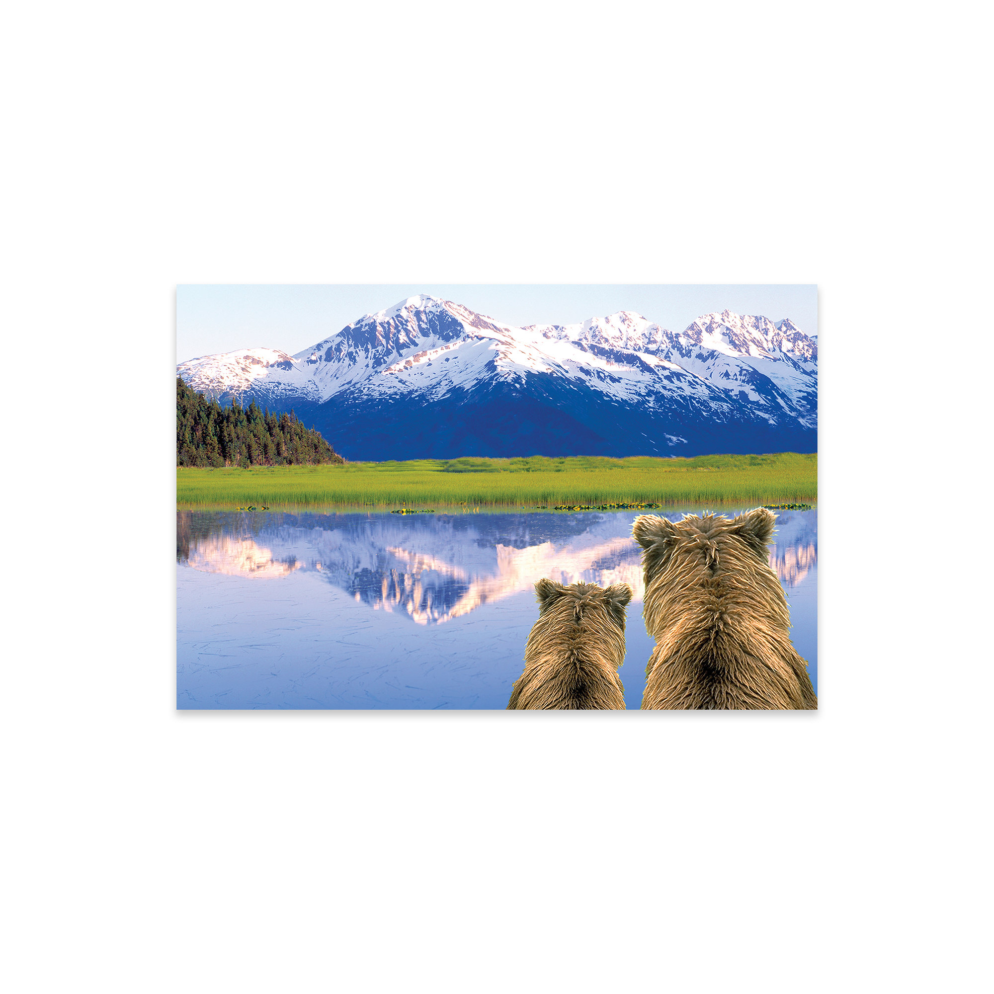 Ebern Designs Alaska Brown Bears, Alaska. On Plastic/Acrylic by Stuart ...
