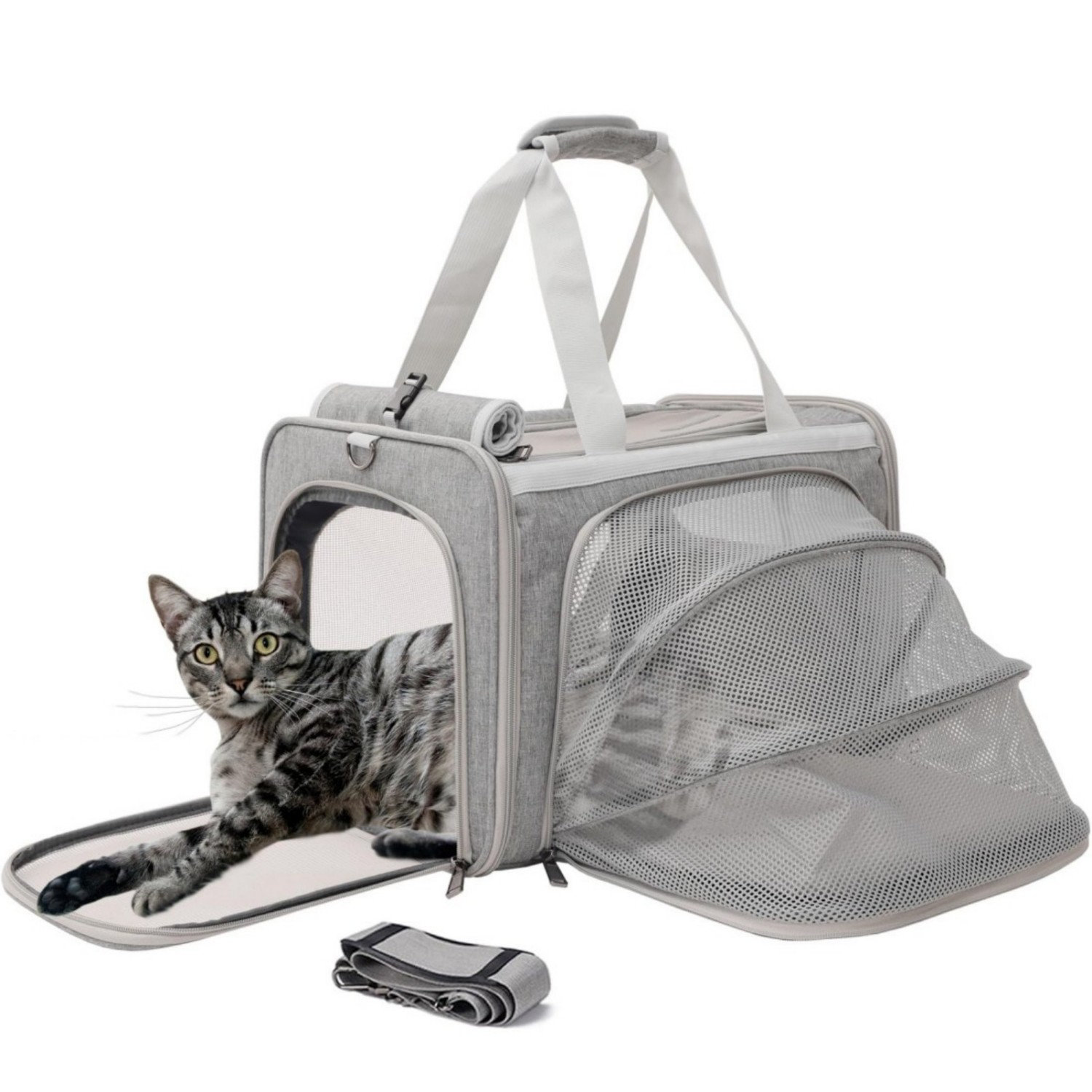Ebern Designs Cat Carriers Soft Stylish Small Dogs Puppy Pets Bag ...