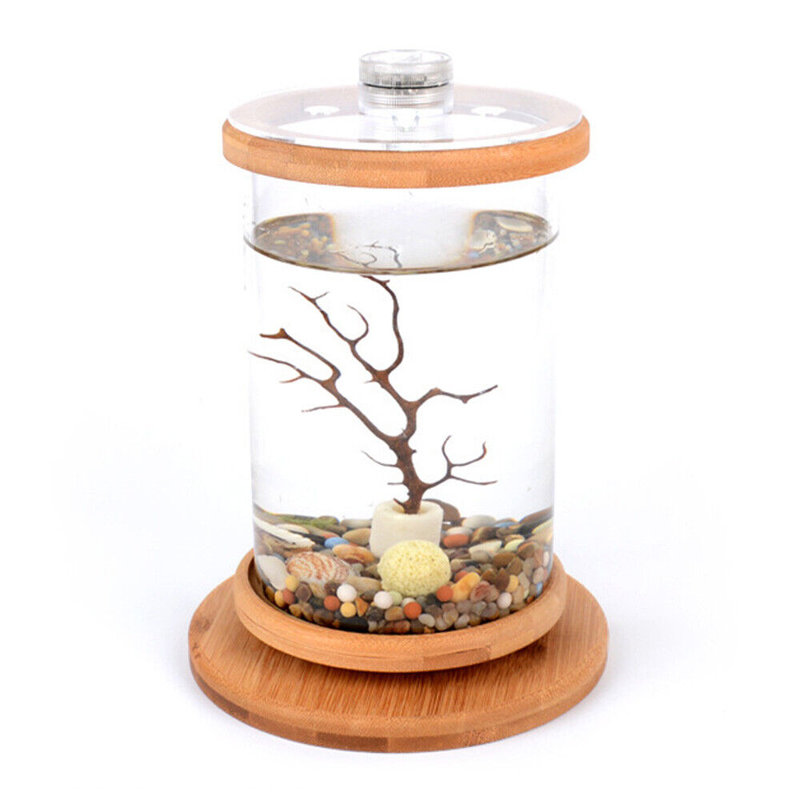 Tucker Murphy Pet™ Denaeja 0.27 Gallons Aquarium Tank & Reviews | Wayfair