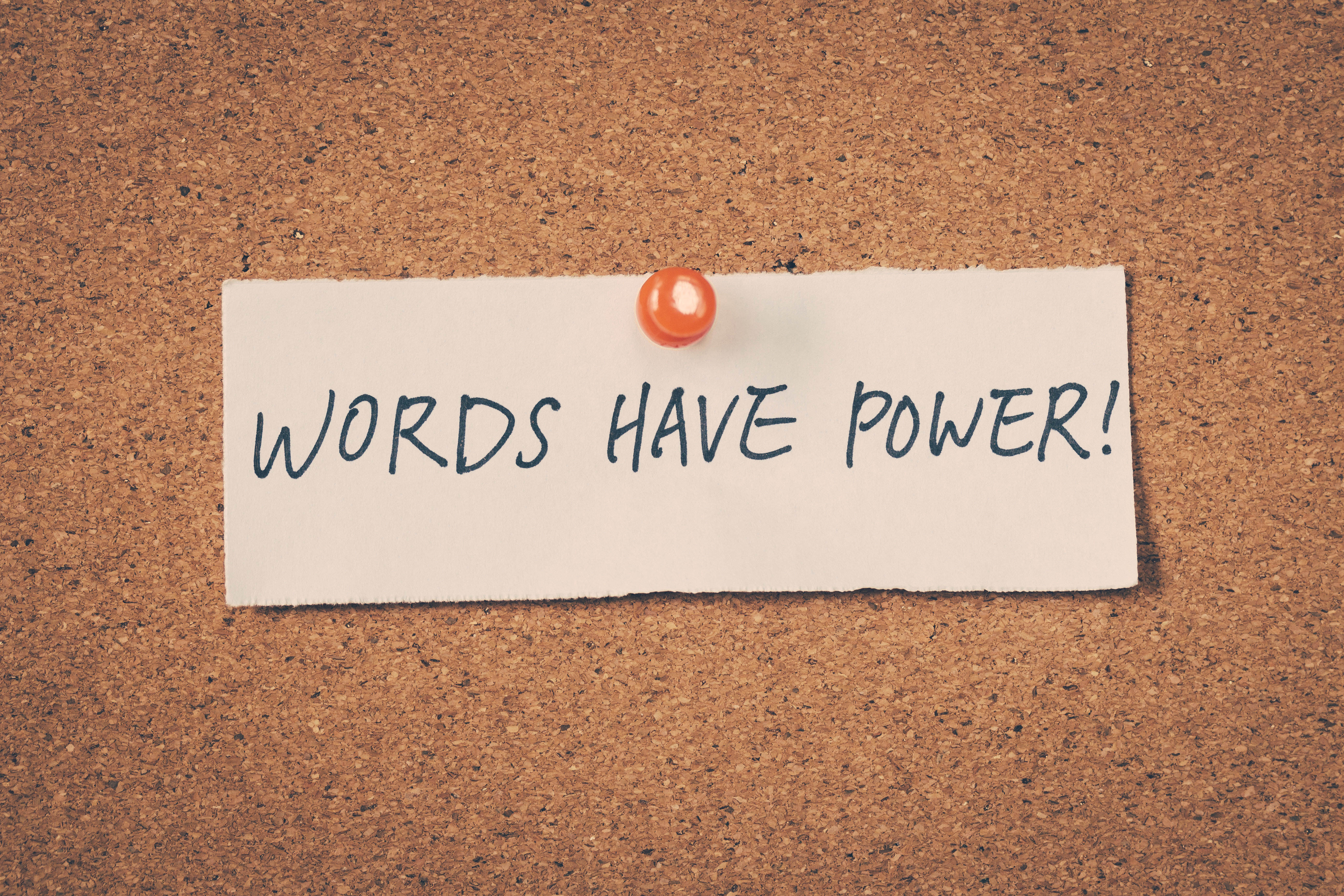 Ebern Designs Words Have Power On Canvas Print | Wayfair