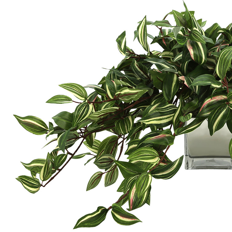 Creative Displays, Inc. Ricka Faux Foliage Plant in Glass Pot & Reviews ...