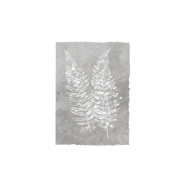 Winston Porter Light Gray Ferns with White Border - Wrapped Canvas ...