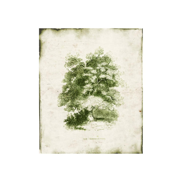 Chelsea Art Studio Zoey Riley " Evergreen VI " by Zoey Riley | Wayfair