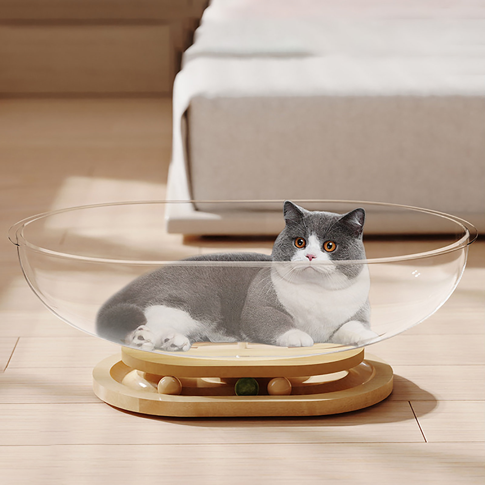 Archie & Oscar™ Space Capsule Cat Bed | Wayfair