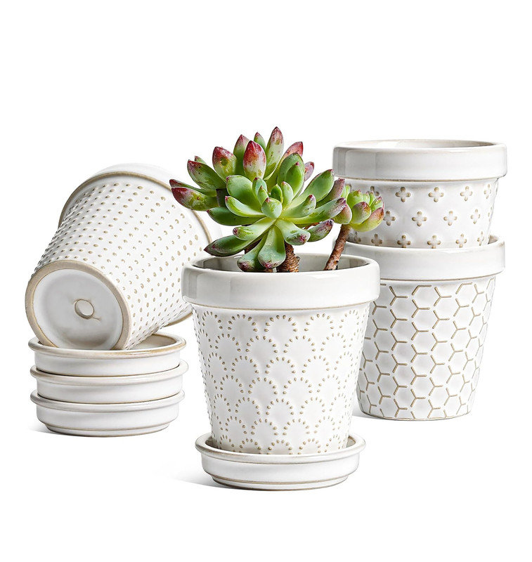Winston Porter Munden Ceramic Pot Planter | Wayfair