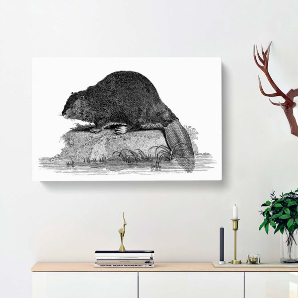 East Urban Home Beaver In Black & White by George Shaw - Wrapped Canvas ...