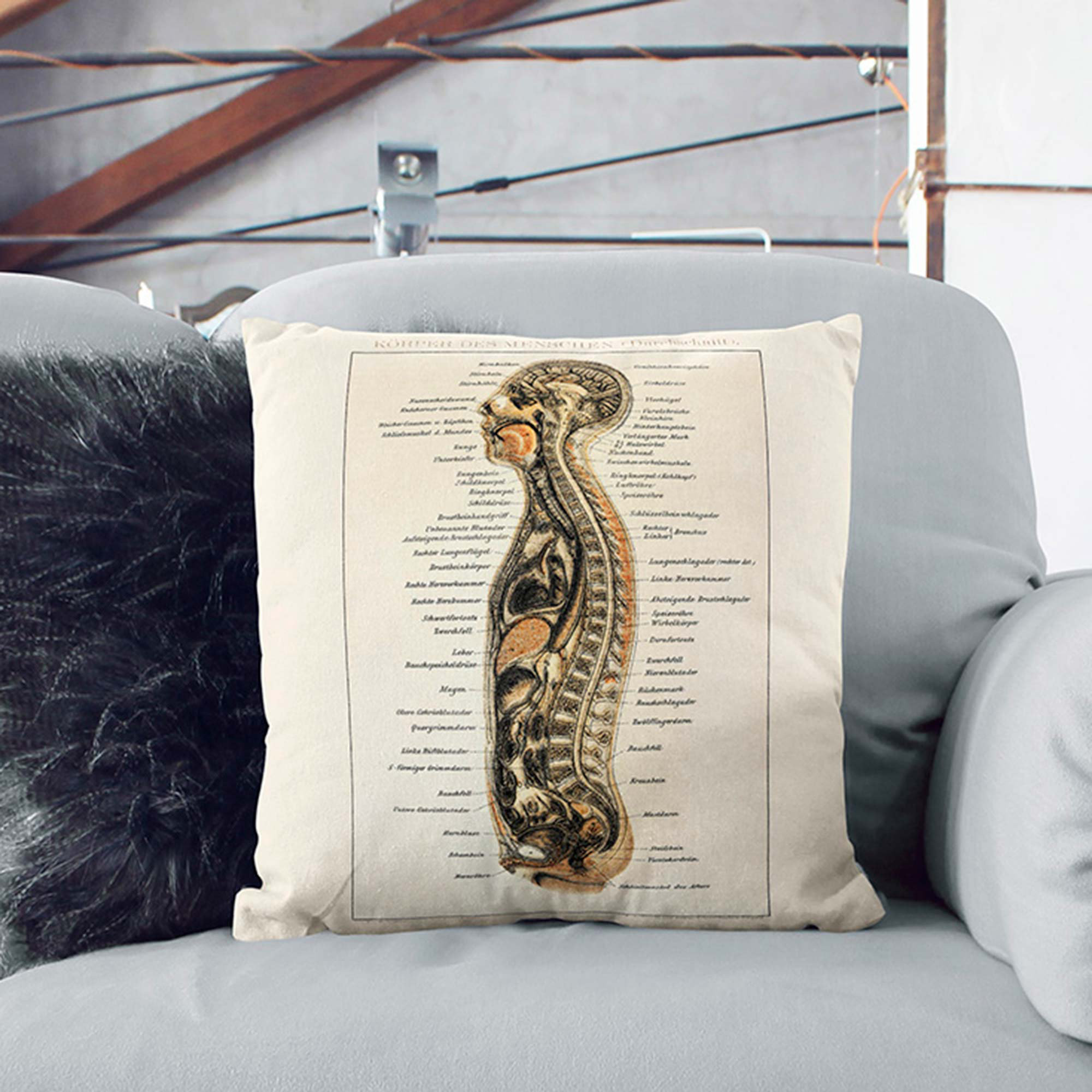 East Urban Home Anatomy Chart in German Cushion with Filling | Wayfair ...