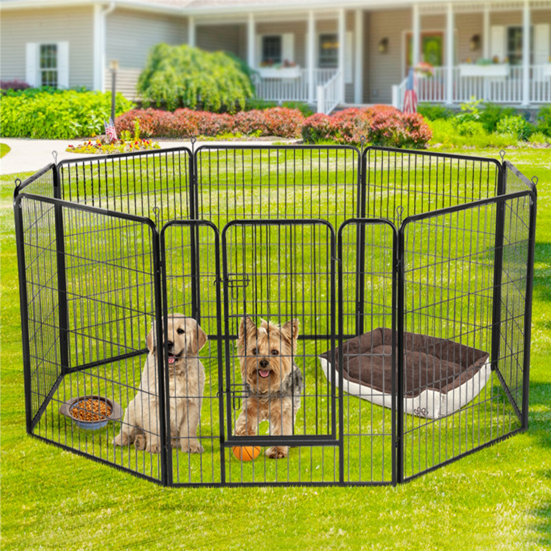 Yaheetech Heavy Duty Dog Pen & Reviews - Wayfair Canada