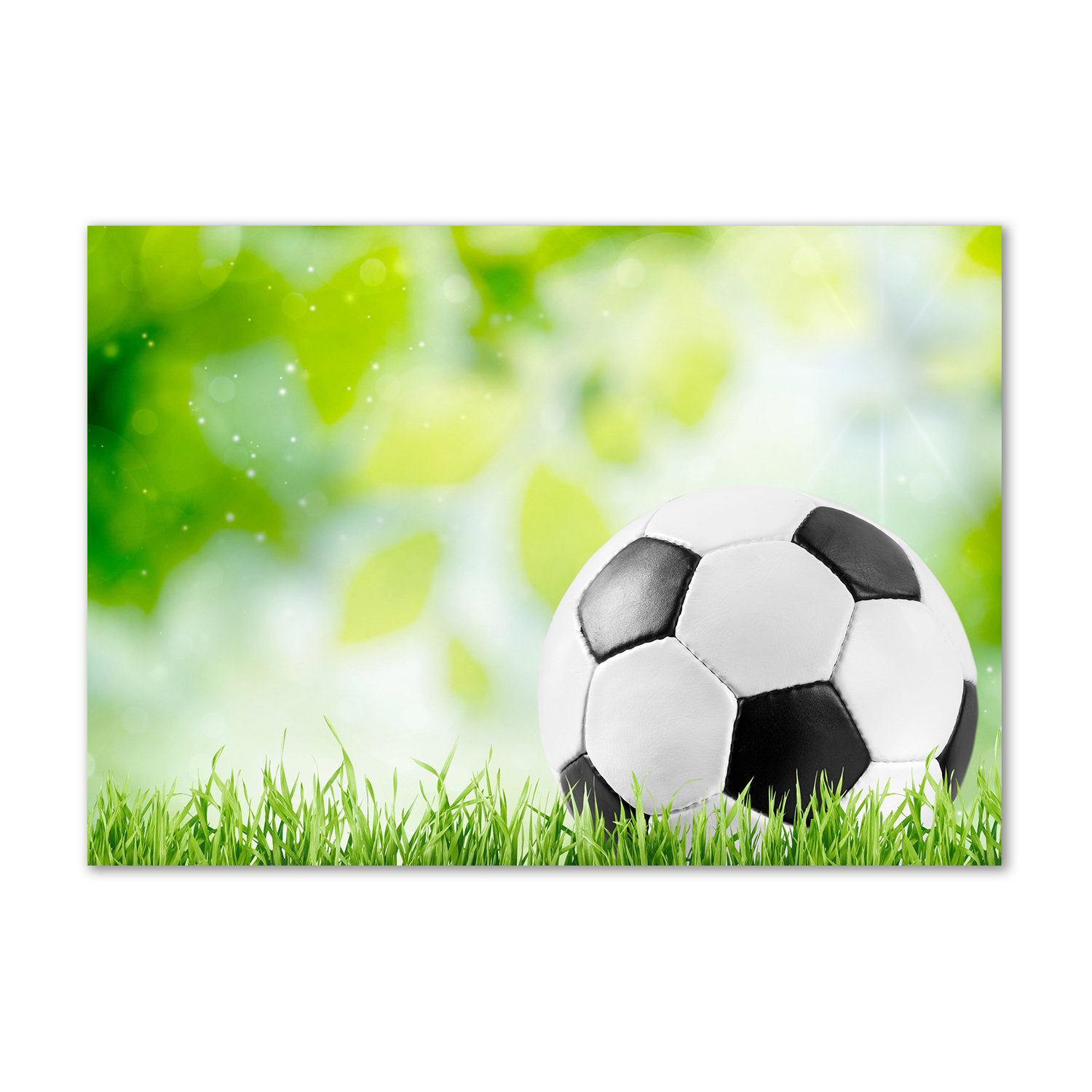Brayden Studio Football - Unframed Art Prints on Canvas | Wayfair.co.uk