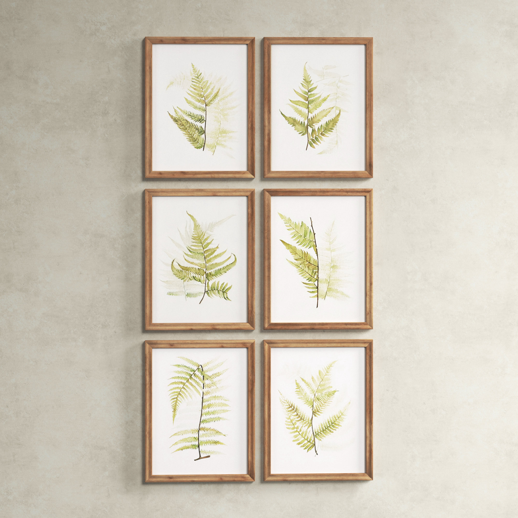 Birch Lane™ Eifa 'Fern Study' - 6 Piece Picture Frame Graphic Art Print ...