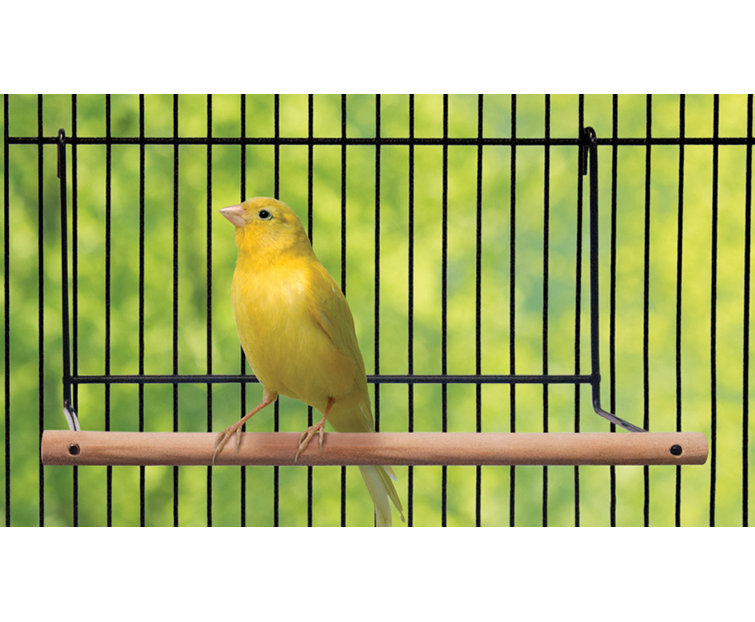 Prevue Hendryx One-of-a-Kind 4'' Metal Bird Perch for Inside Cage ...