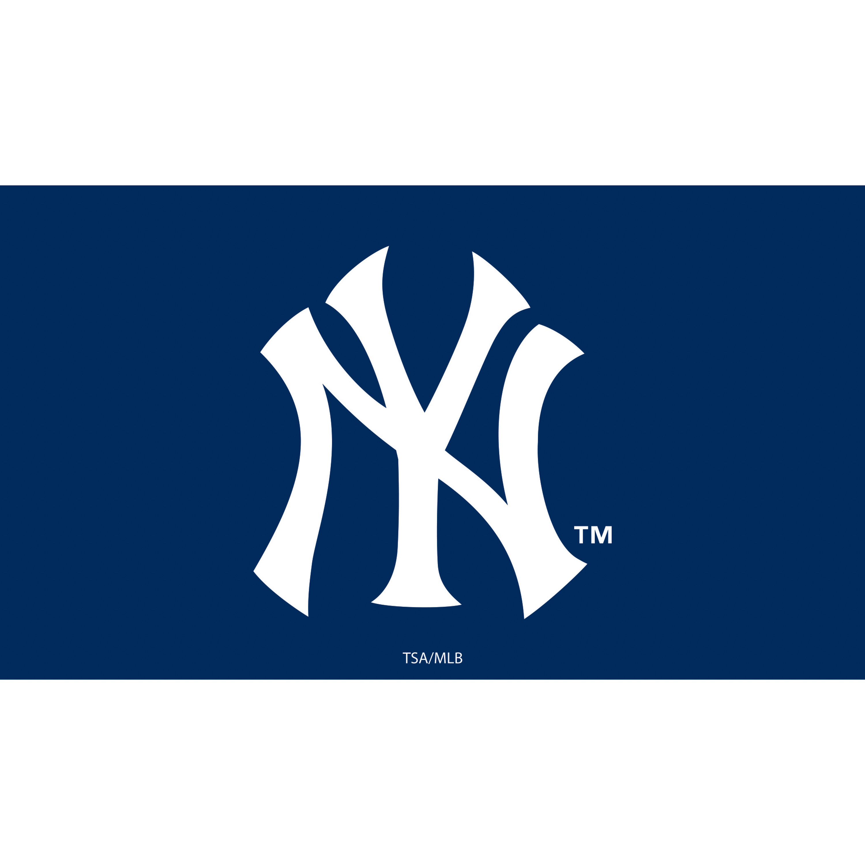 Evergreen Enterprises, Inc New York Yankees Full Color PVC Mat 16" x 28 ...