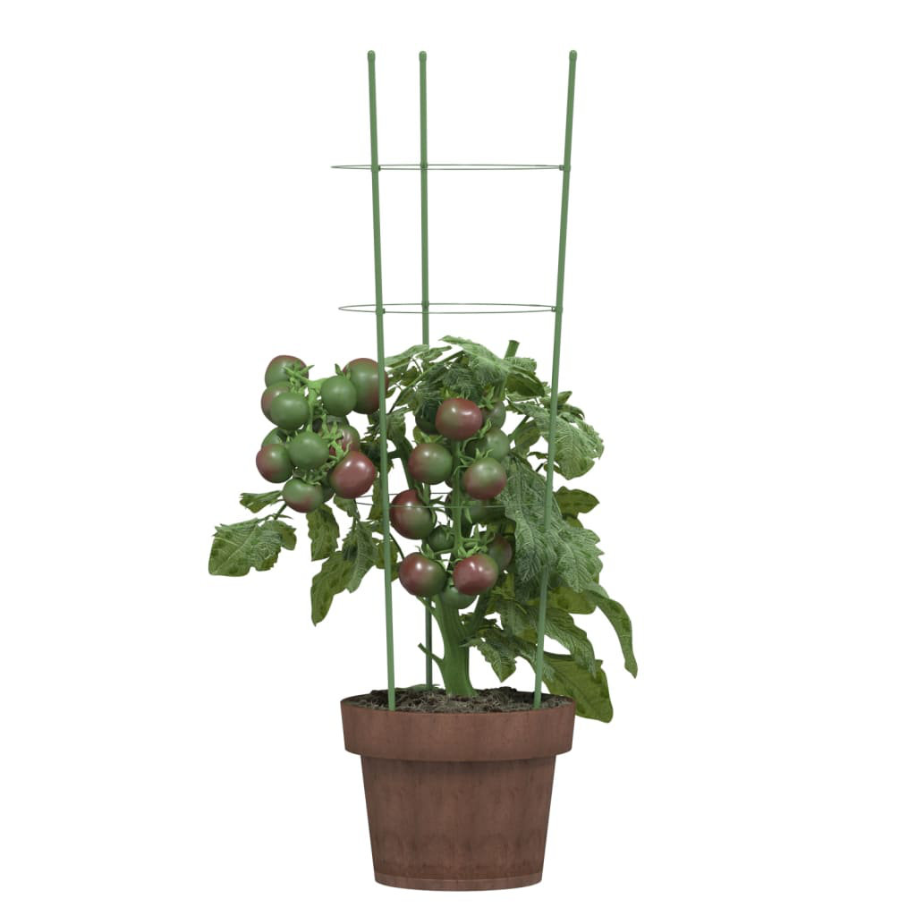 Arlmont & Co. Winston Porter Garden Plant Supports With 4 Rings 5 Pcs ...