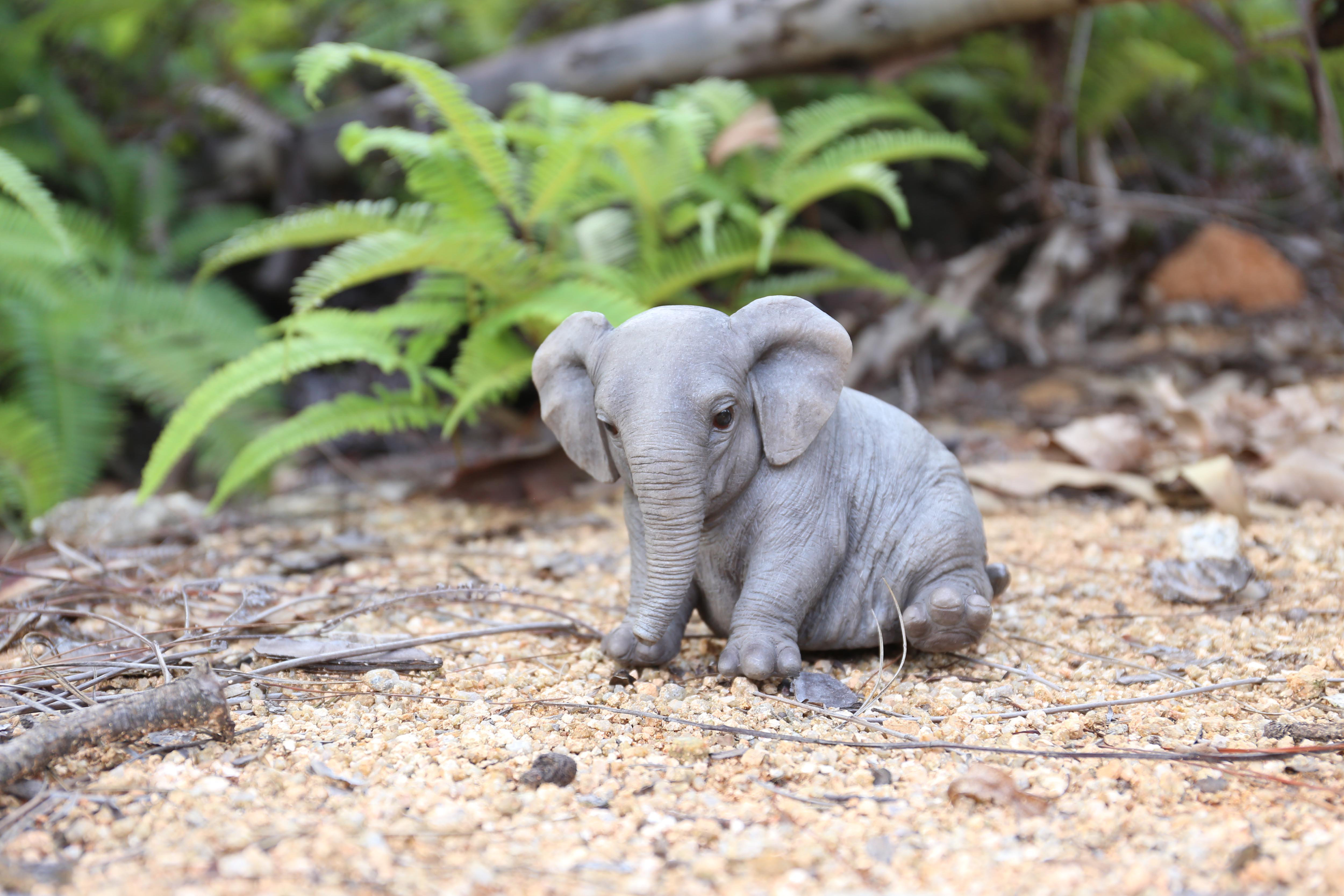 Hi-Line Gift Ltd. CHUBBY ELEPHANT SITTING & Reviews - Wayfair Canada