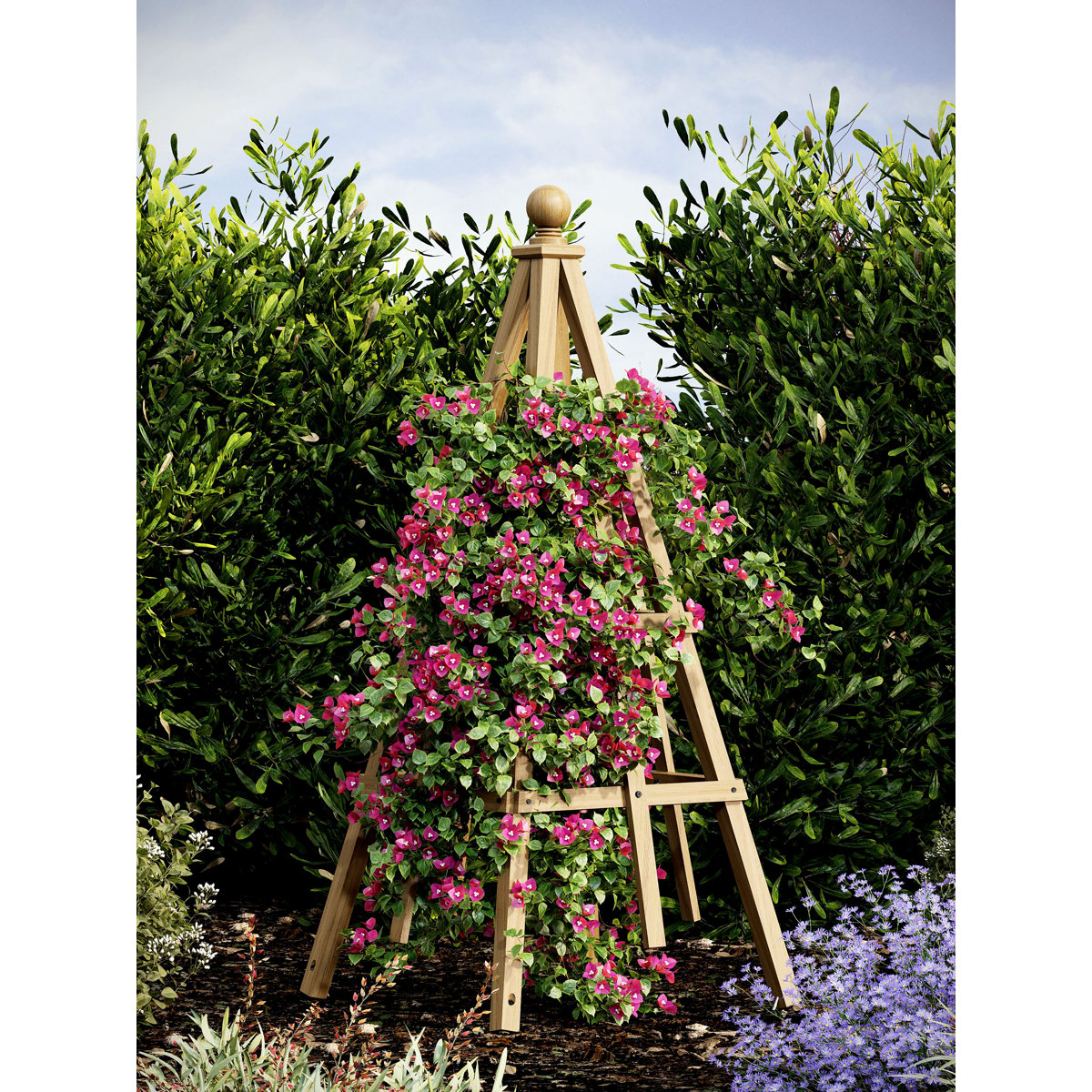 Vita 38" L X 60" H Cedar Garden Obelisk Trellis, Golden Brown & Reviews ...