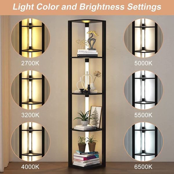 Ivy Bronx Oppice Bookcase & Reviews | Wayfair