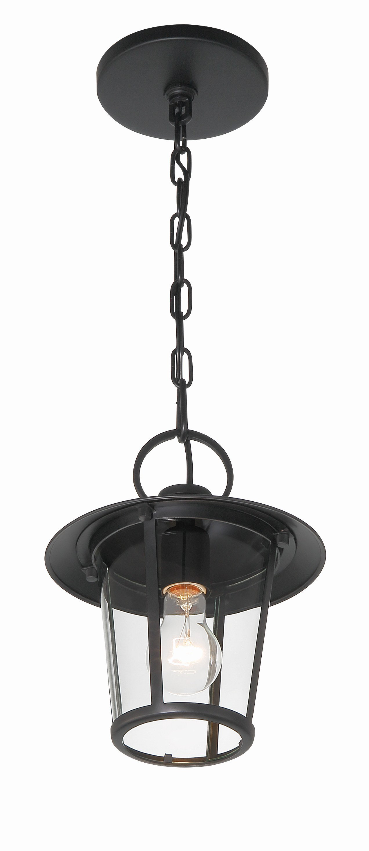 Gracie Oaks Tranesha 1 Light Matte Black Outdoor Chandelier - Wayfair ...