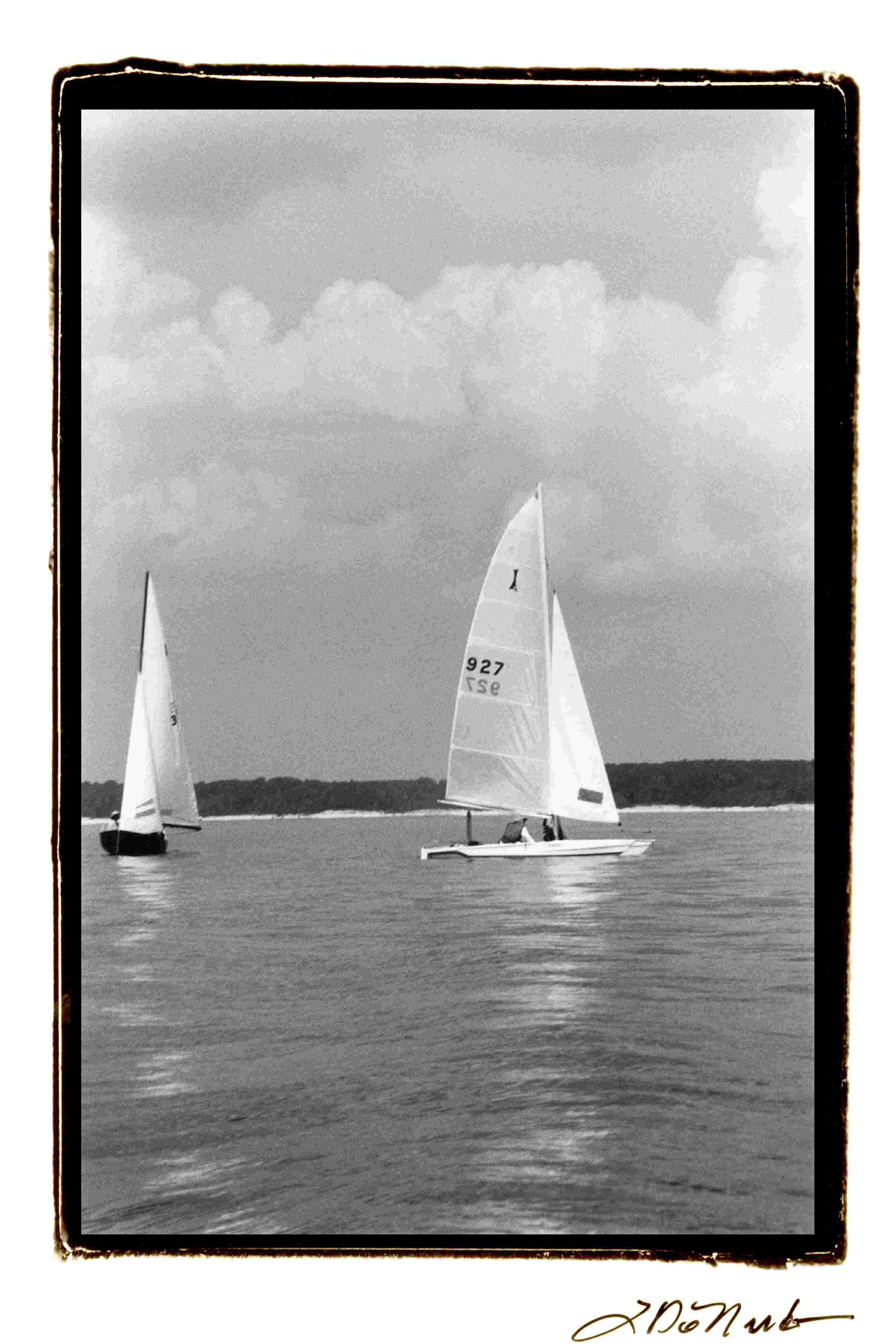 Longshore Tides Ocean Breeze III - Wayfair Canada